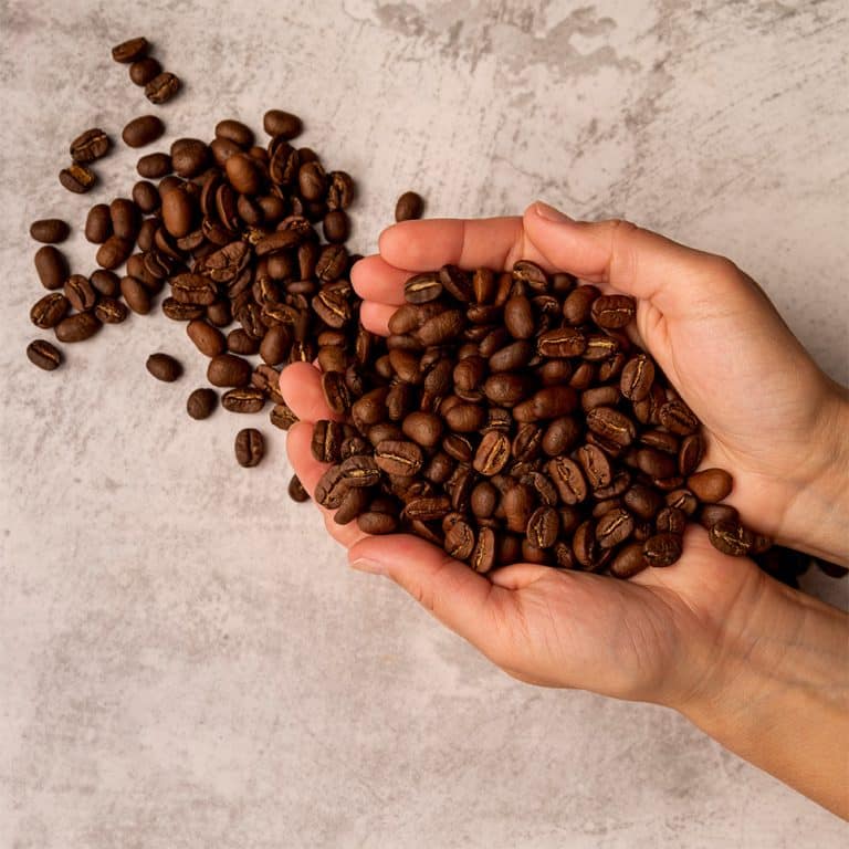 The Most Common Roast Defects; Scorching and Tipping - Besca Roasters